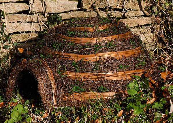 A Hedgehog house buyers guide - Garden Shed Reviews