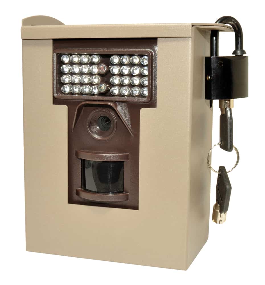 The Best Bird Box Cameras - A Buyers Guide (2021) - Garden Shed Reviews