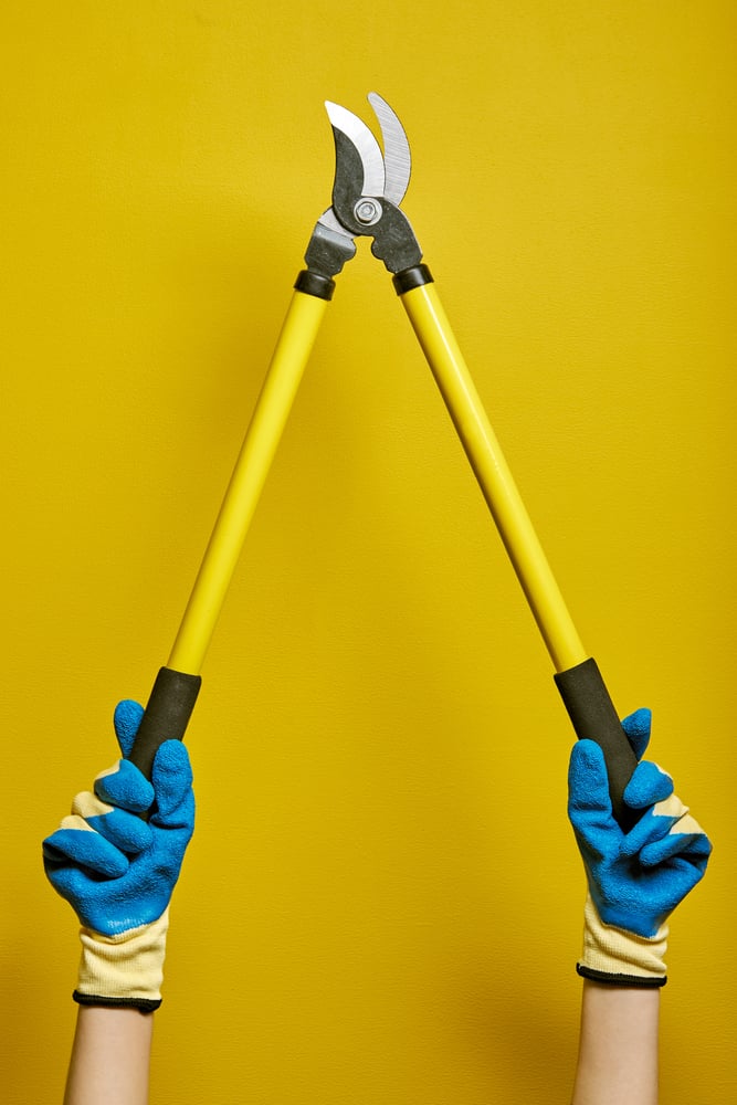 The Best Tree Loppers - Buyers Guide (2021) - Garden Shed Reviews